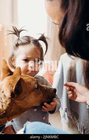 Mother, two daughters and dog Stock Photo - Alamy