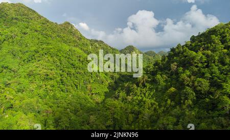 An aerial photo of a hill with green and shady trees, in the province ...