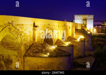Night view of old roman Bridge of Hadrian and St. Peter's cathedral in ...