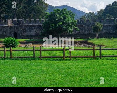 Lawn for grazing horses in the courtyard of a medieval castle. Lawn and ...