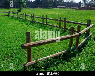 Lawn for grazing horses in the courtyard of a medieval castle. Lawn and ...