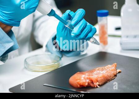 Quality control inspector testing poultry sample Stock Photo - Alamy