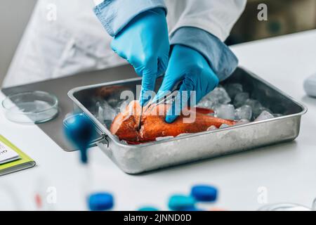 Quality control inspector taking fish sample Stock Photo - Alamy