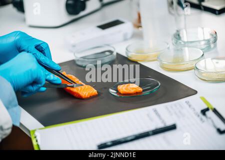 Quality control inspector taking fish sample Stock Photo - Alamy