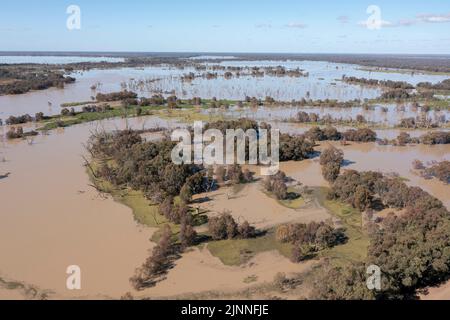 Flood waters from the Darling river fill Menindee lakes in the far west ...