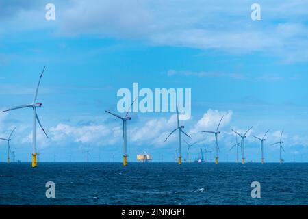 Offshore wind farm Meerwind, economic zone, northwest of Helgoland ...