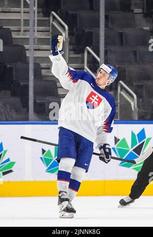 August 12, 2022, EDMONTON, AB, CANADA: Slovakia's Maxim Strbak (4) is ...