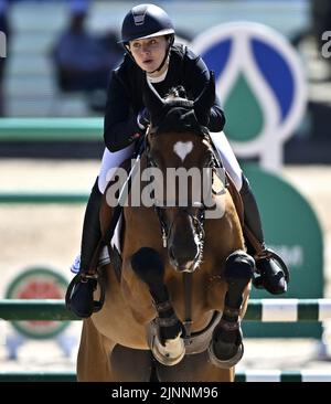 Herning, Denmark. 12th Aug, 2022. World Equestrian Games. Joe Stockdale ... Herning, Denmark. 12th Aug, 2022. World Equestrian Games. Joe Stockdale ...