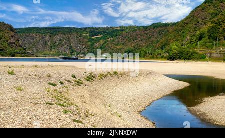 Drought in Germany. Low water of the Rhine by Oberwesel, Rhineland ...