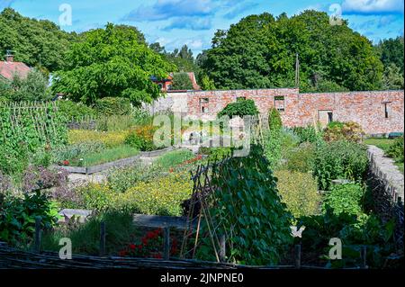 overlooking lots of flowers and vegetables in public garden Stock Photo ...