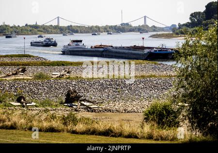 SPIJK - Shipping on the Rhine. Low water levels on the Rhine are ...