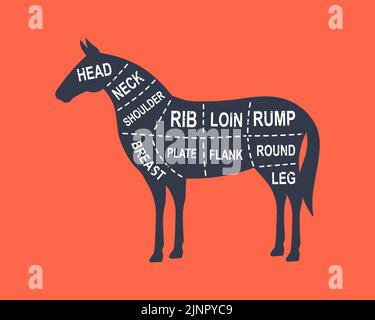 Horse farm animal icon vector illustration graphic design Stock Vector ...