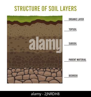 Soil layers. Diagram for layer of soil. Soil layer scheme with grass, roots and earth texture ...