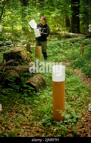 An employee of the Northwest German Forestry Research Institute checks ...