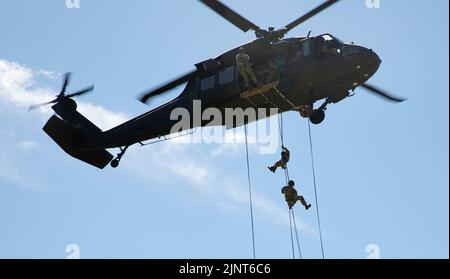Soldiers rappel from a UH-60 Black Hawk helicopter during Air Assault ...