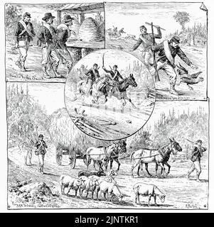 Antique engraving of scenes of life in Ancient Israel. From left to ...