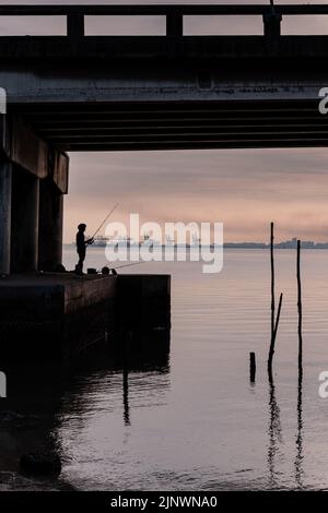 Sunrise shoot under the Penang Bridge. Penang bridges are crossings ...