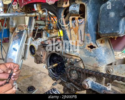 female mechanic in workshop installing or repairing a bicycle wheel ...
