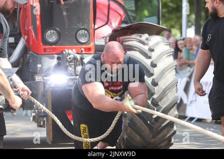 Gera, Germany. 14th Aug, 2022. The second strongest man in Germany, Tim ...
