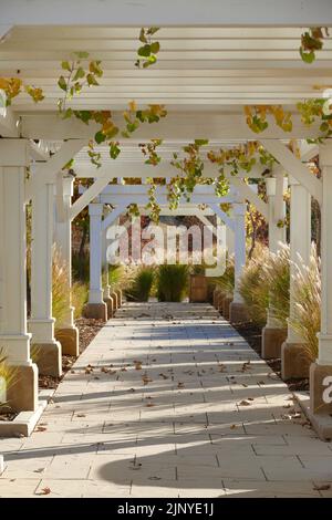 Vine Arbor Path Stock Photo - Alamy