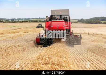 Farmer using a Massey Ferguson Activa 7345S combine harvester, with a ...