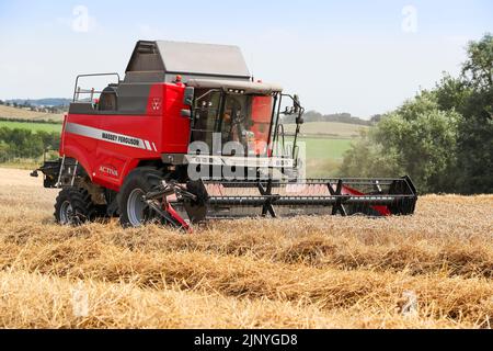 Farmer using a Massey Ferguson Activa 7345S combine harvester, with a ...