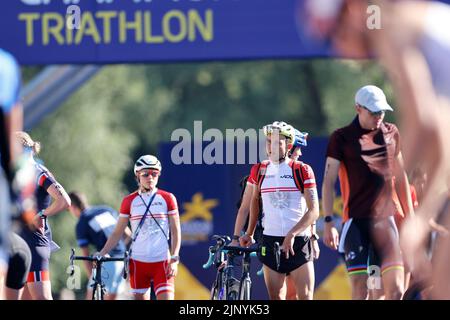 Alois of Leon Stock Photo - Alamy