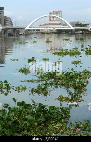 Pasig River with Binondo - Intramuros Bridge in the background, Manila ...