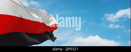 flag of Austronesian peoples Batak people. flag representing ethnic ...