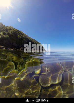 Healthy fringing coral reef growing around Kent Island, Barnard Islands ...