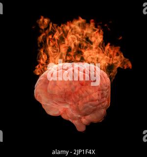 3D Rendering of a Human Brain's Burning on Fire with Hot Flame Stock ...