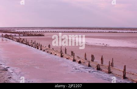 The wooden columns covered large lumps of salt in the pink lake. Crimea ...