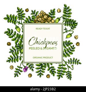 Colorful chickpeas design. Hand drawn illustration in colored sketch ...