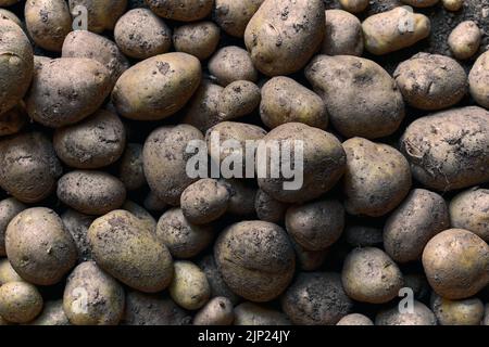 bio, potatoes, harvest fresh, bios, harvest freshs Stock Photo - Alamy