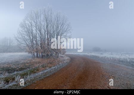 Winter landscape with totally frozen dirt road and intense fog hiding ...