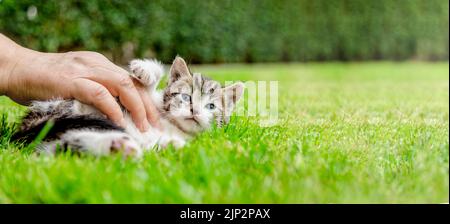 Beautiful mature woman with cute cat on pink background Stock Photo - Alamy