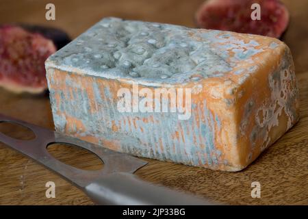 cheese, mold, taleggio, cheeses, molding, molds, rising damp, taleggios ...