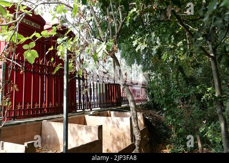 Dippy is back till 2 January 2023 .Dippy was the first Diplodocus (DIP-low-DOCK-us) to go on ...