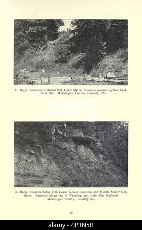 The fauna of the Pottsville formation of Ohio below the Lower Mercer ...