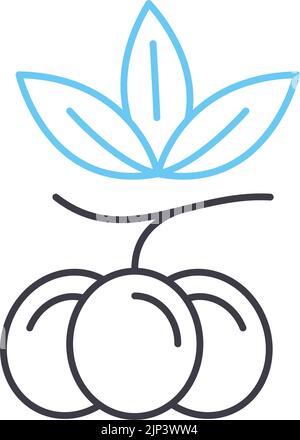 Blueberry fruit icon. Healthy organic and fresh food theme. Isolated ...