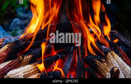 Waste corn cobs burning, close view Stock Photo - Alamy