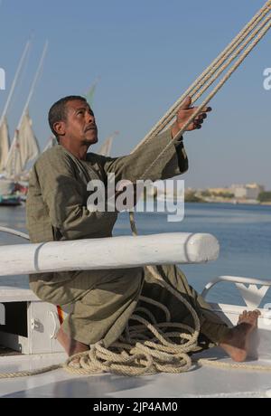 Bootsmann, Kapitän, Segelboot, Feluke, Nil, Luxor, Ägypten Stock Photo ...