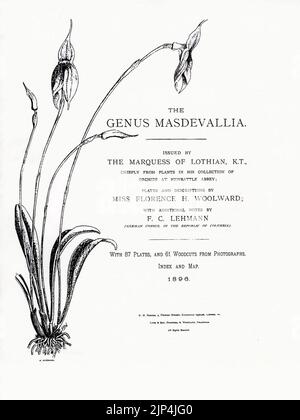The Genus Masdevallia AA Title 1 Stock Photo - Alamy