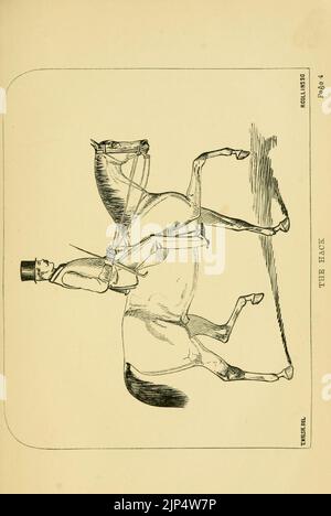 The handy horse-book Stock Photo - Alamy