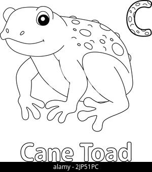 Cane Toad Animal Tracing Letter ABC Coloring C Stock Vector Image & Art ...