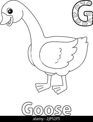 Goose Animal Tracing Letter ABC Coloring Page G Stock Vector Image ...