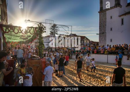 Barrete Verde Bull festival in Alcochete Portugal Stock Photo - Alamy