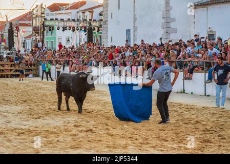 Barrete Verde Bull festival in Alcochete Portugal Stock Photo - Alamy