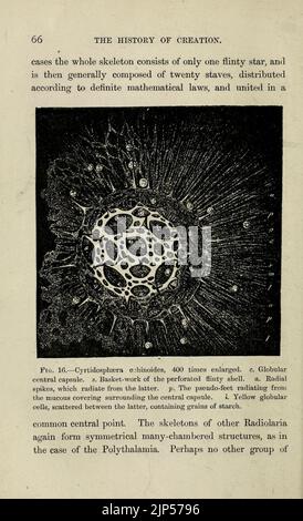 The history of creation, or, The development of the earth and its ...