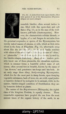 The history of creation, or, The development of the earth and its ...